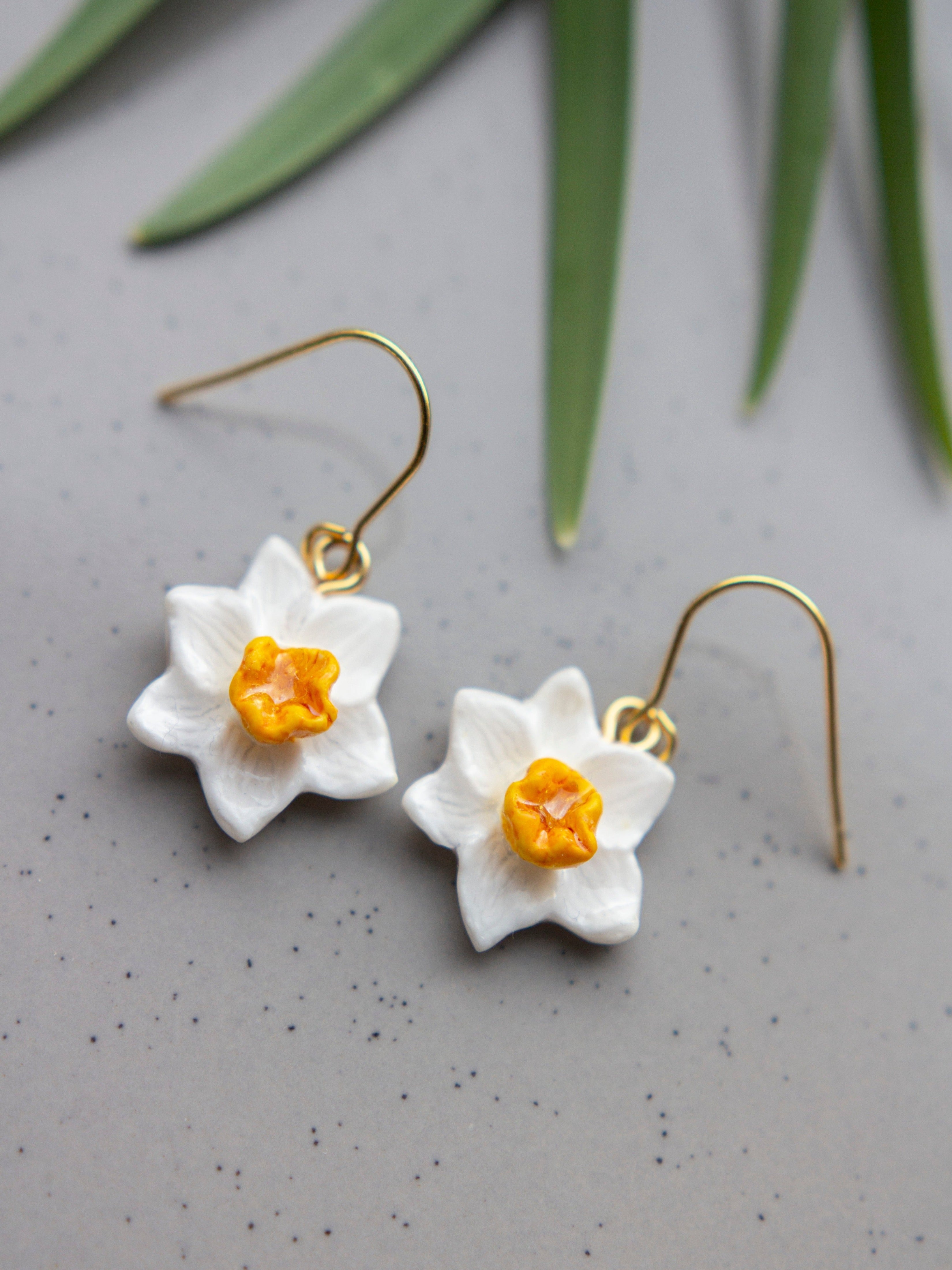 Auskari - NARCISES – liiber.eu