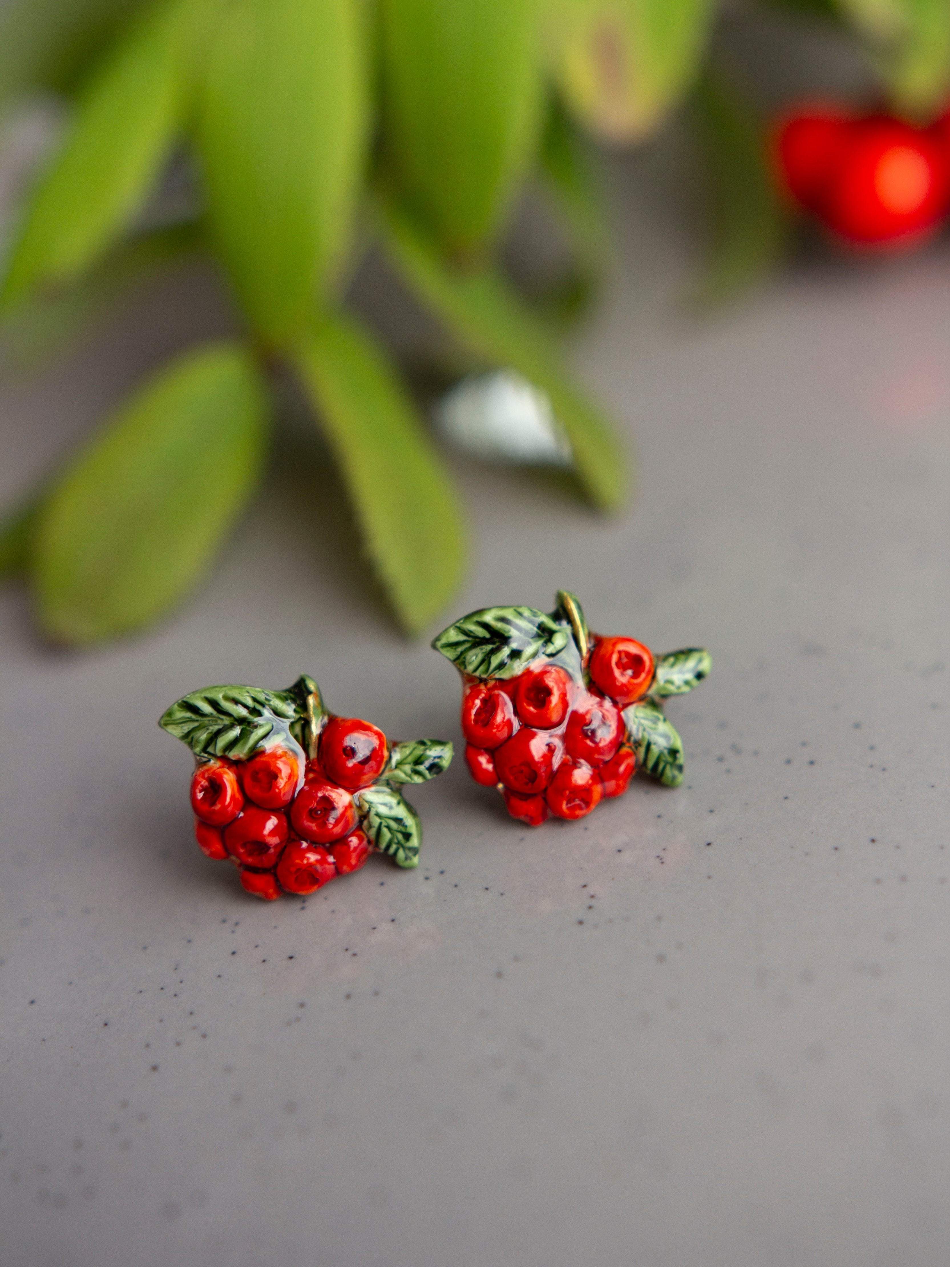 Auskari - PĪLĀDZIS – liiber.eu