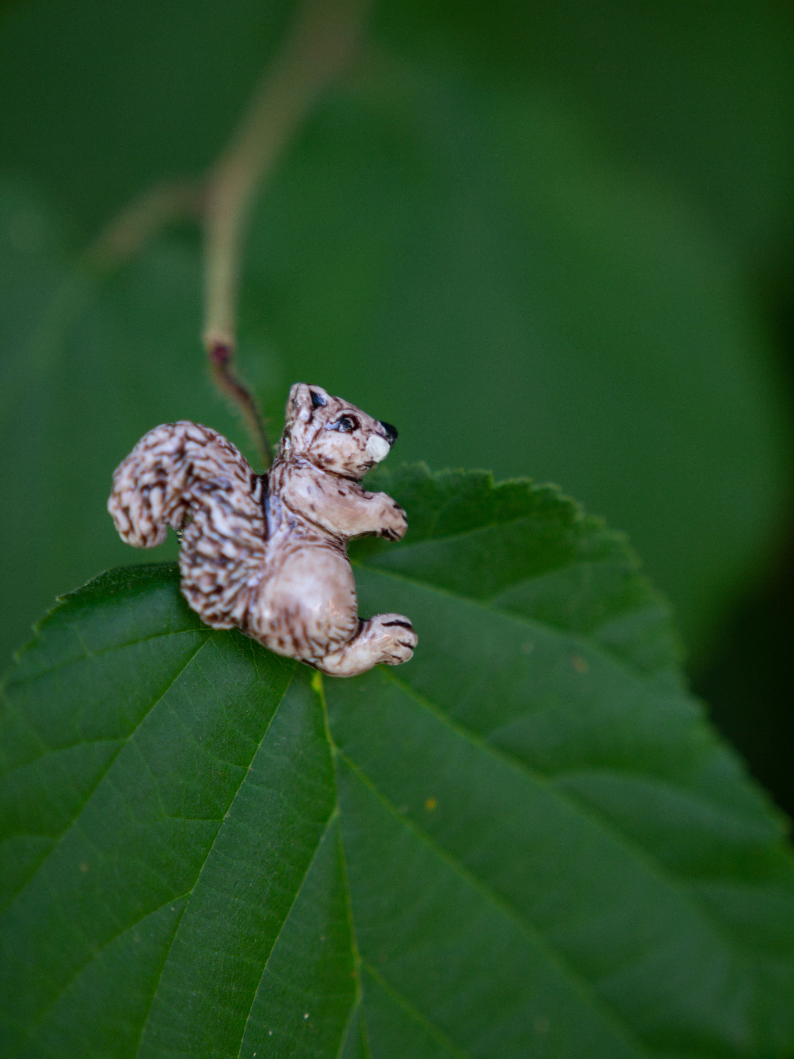 Piespraude - VĀVERE – liiber.eu